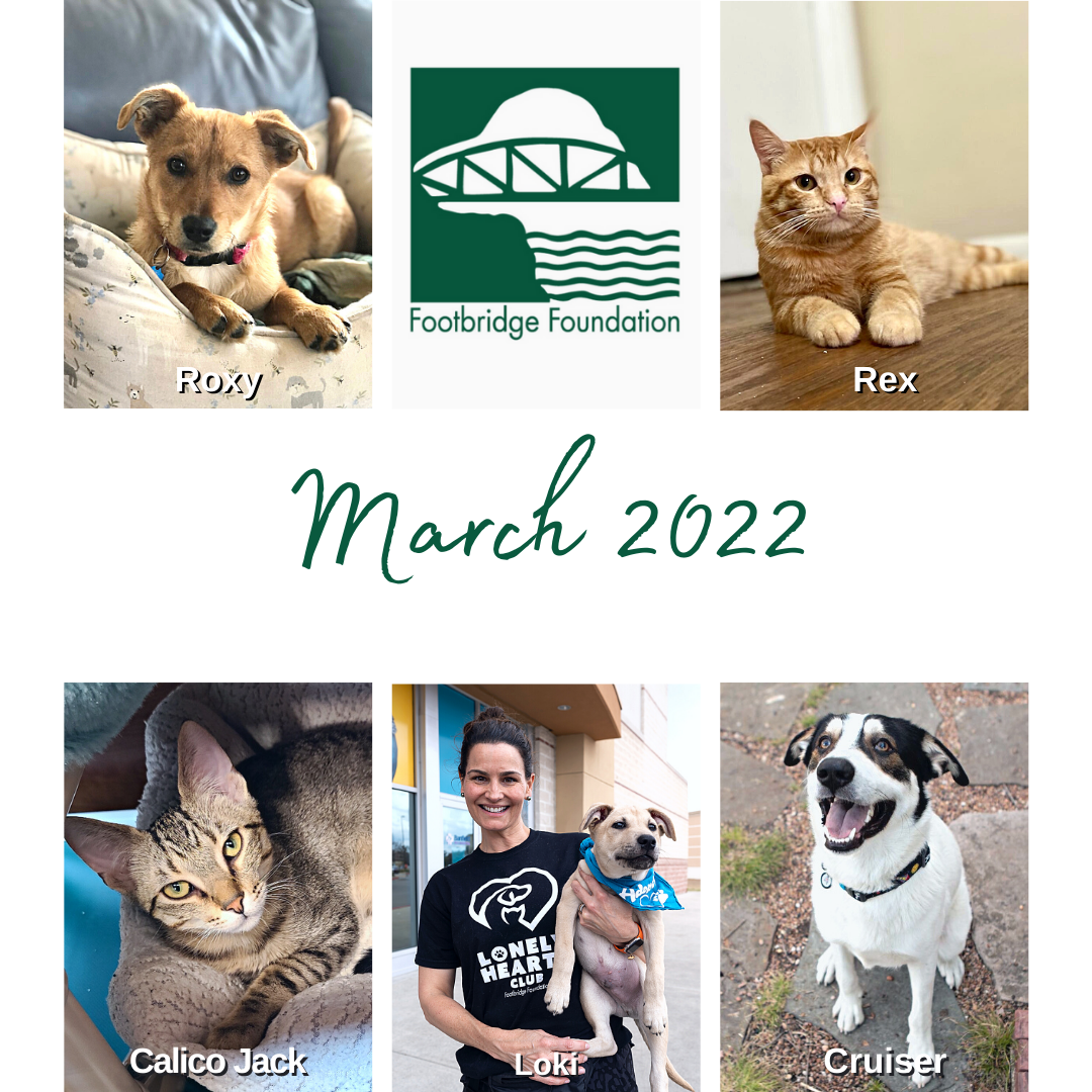 NewsLetter March 2022 — Footbridge Foundation - San Antonio Animal ...